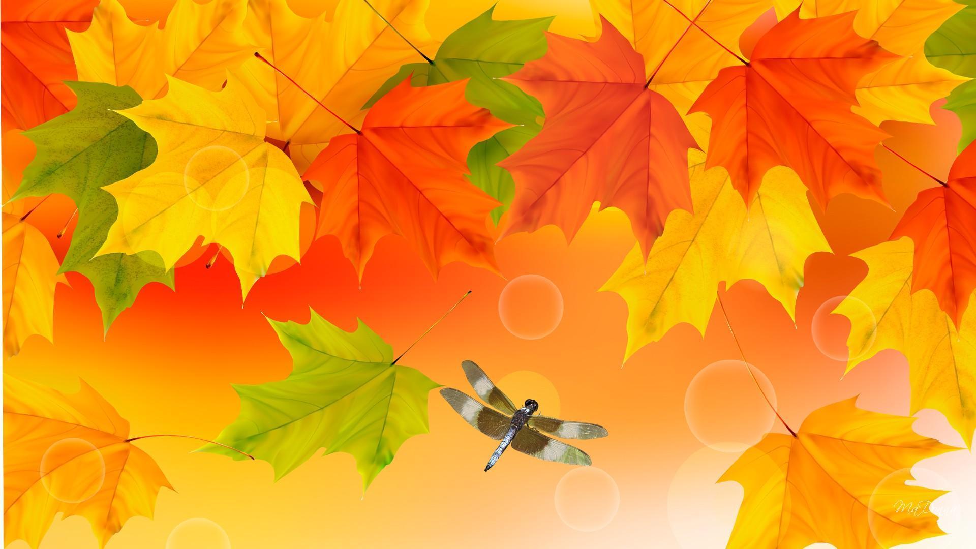 Vibrant Fall Colors Wallpapers - Wallpaper Cave