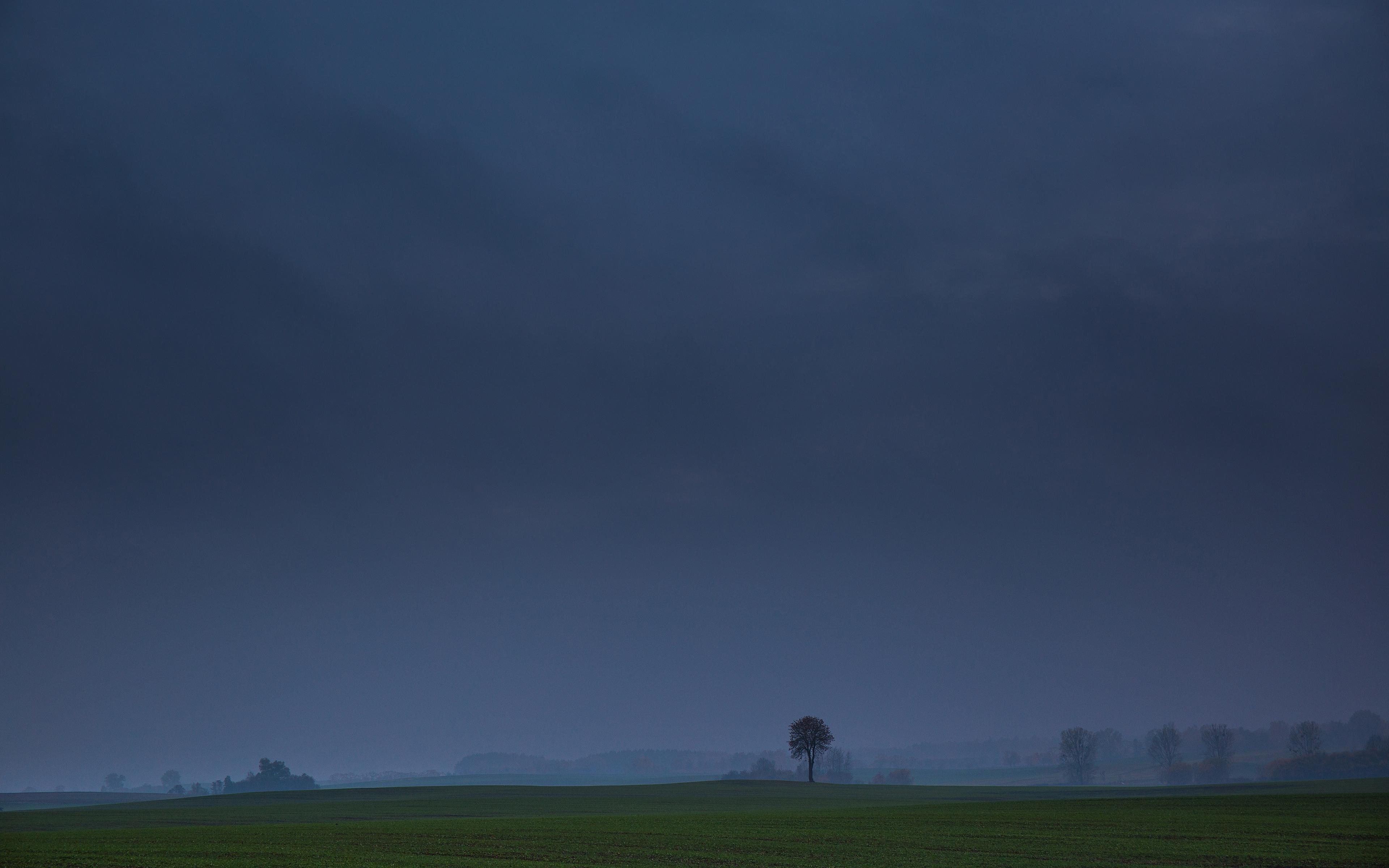 Tree Fog Landscape Wallpapers - Wallpaper Cave