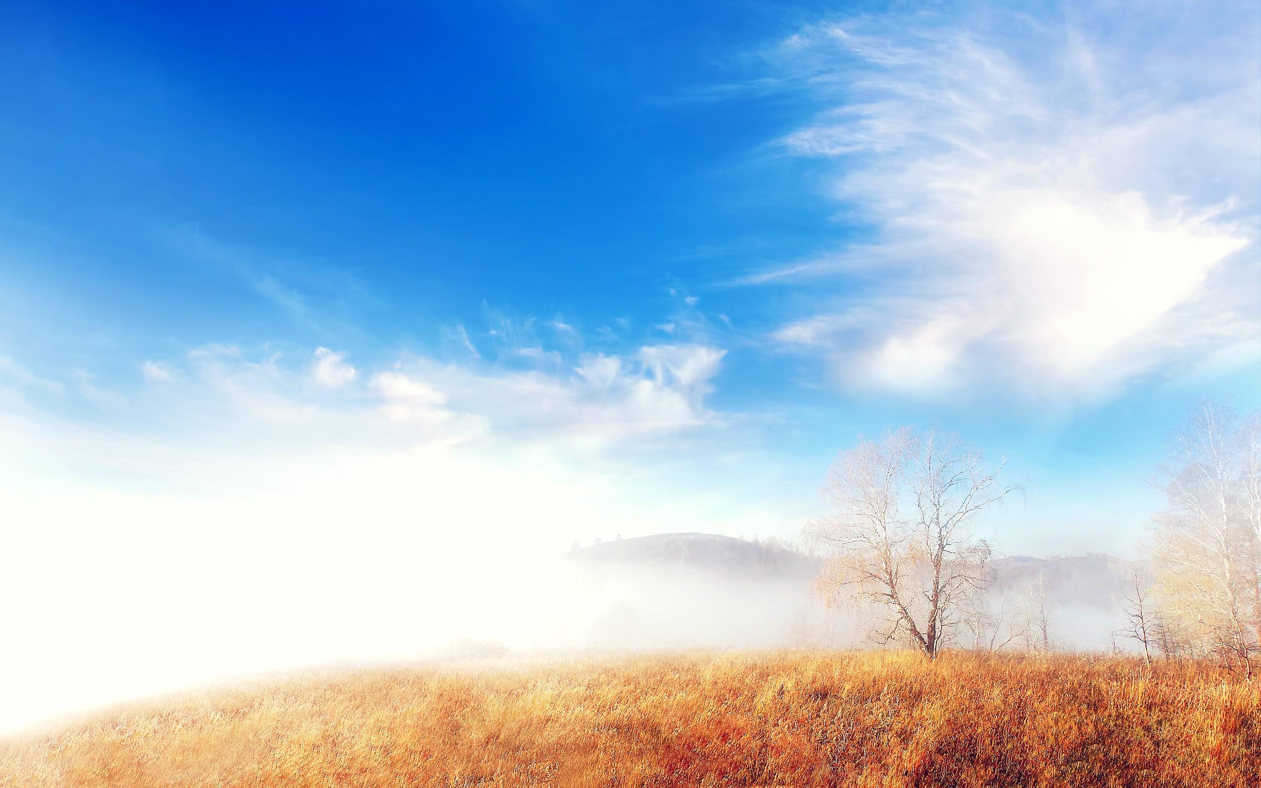 Tree Fog Landscape Wallpapers - Wallpaper Cave