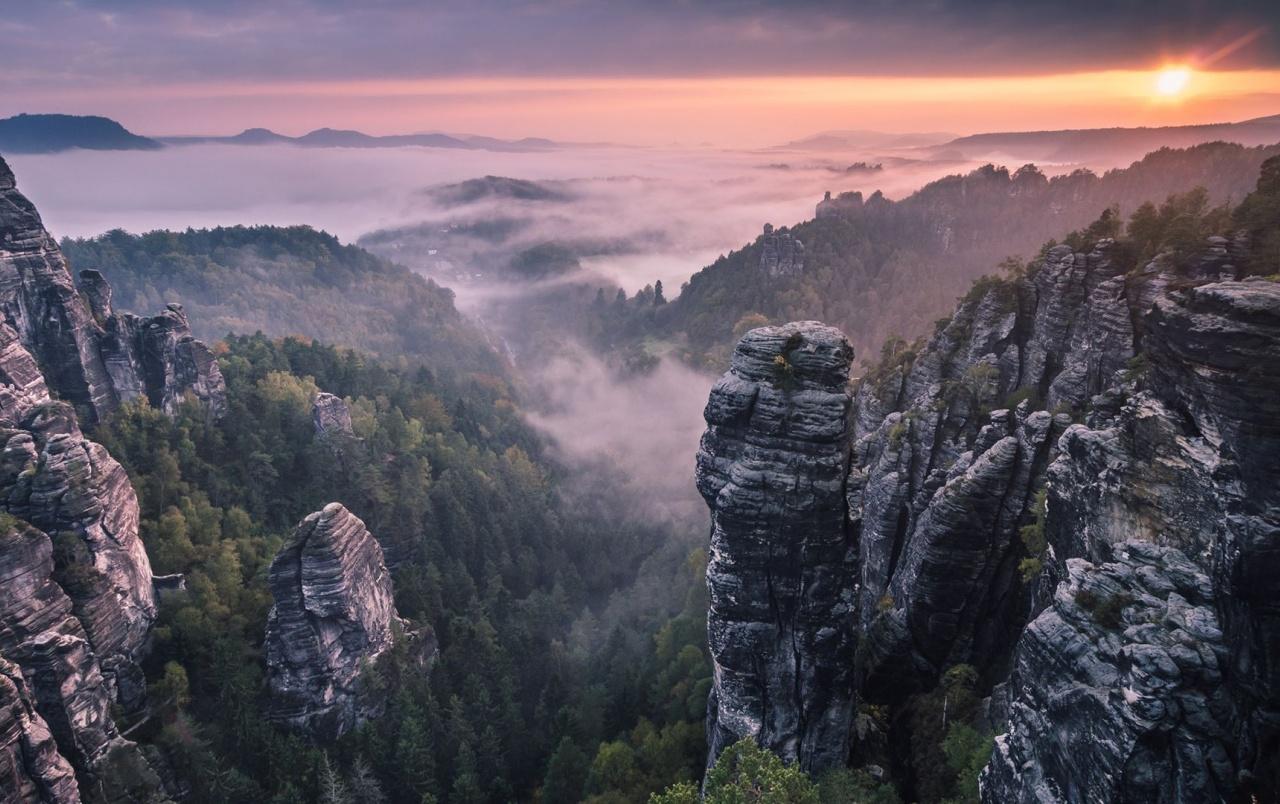 Tree Fog Landscape Wallpapers - Wallpaper Cave