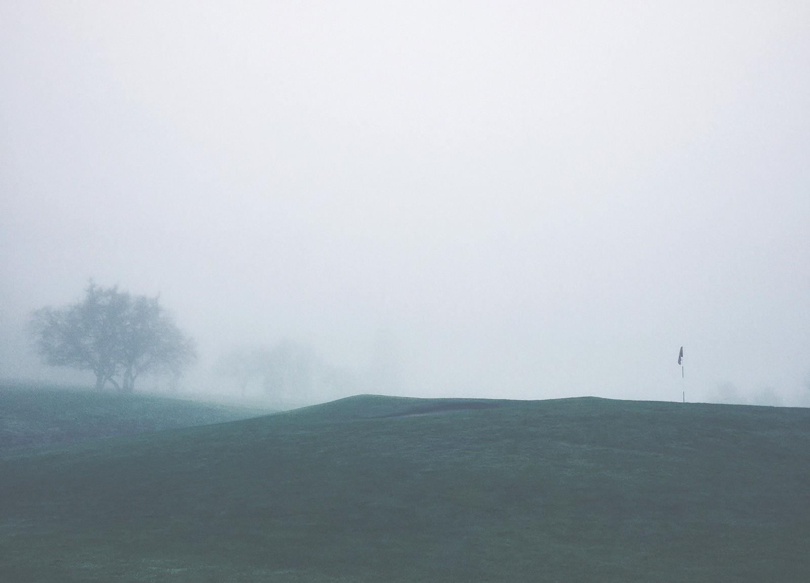 Tree Fog Landscape Wallpapers - Wallpaper Cave