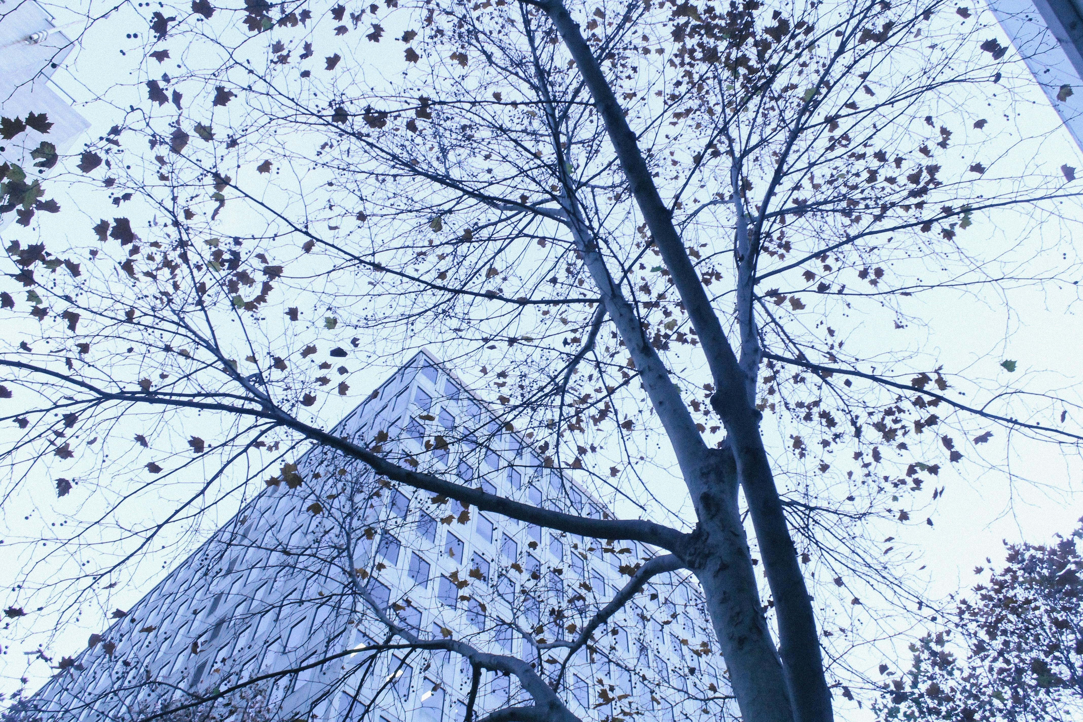 VSCO Fall Wallpapers - Wallpaper Cave