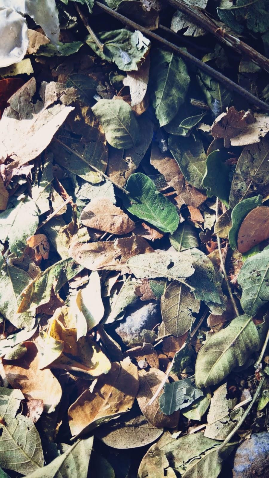 Redmi Note 6 Pro Wallpapers - Wallpaper Cave