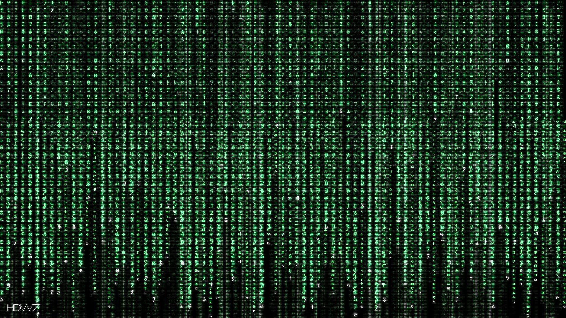 Green Code Wallpapers - Wallpaper Cave