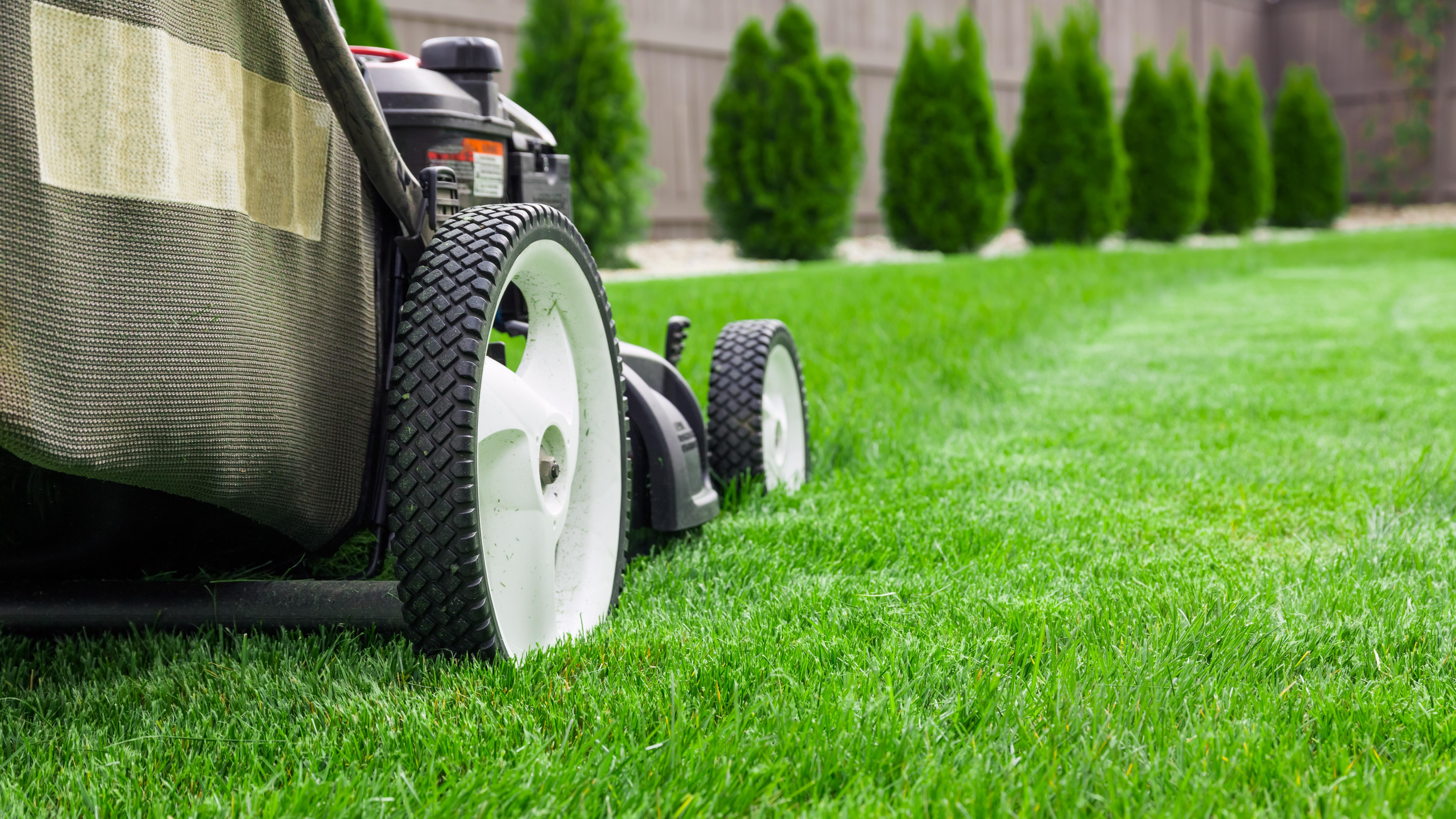 Mowing Wallpapers Wallpaper Cave