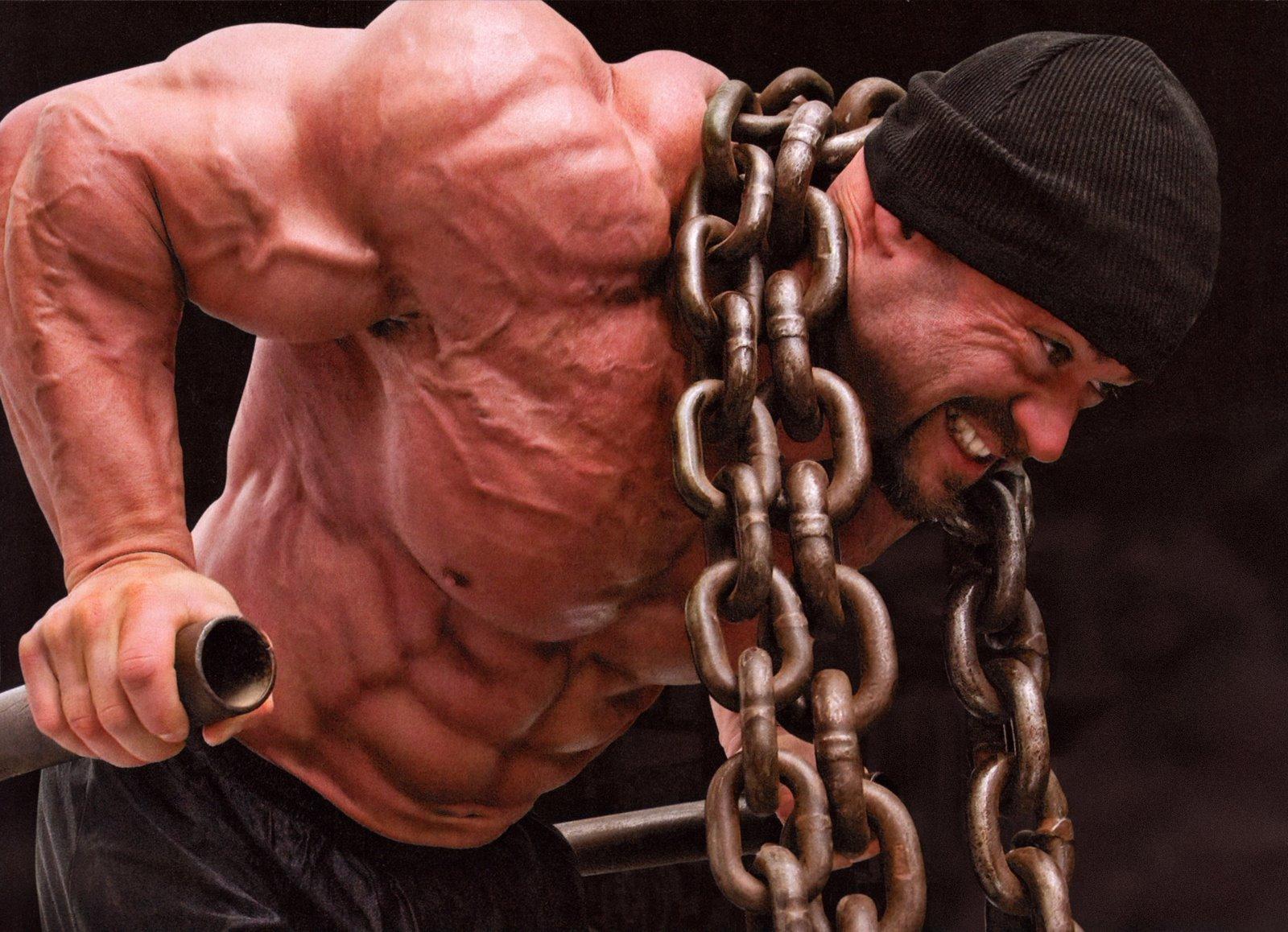 Gym Body Wallpapers - Wallpaper Cave