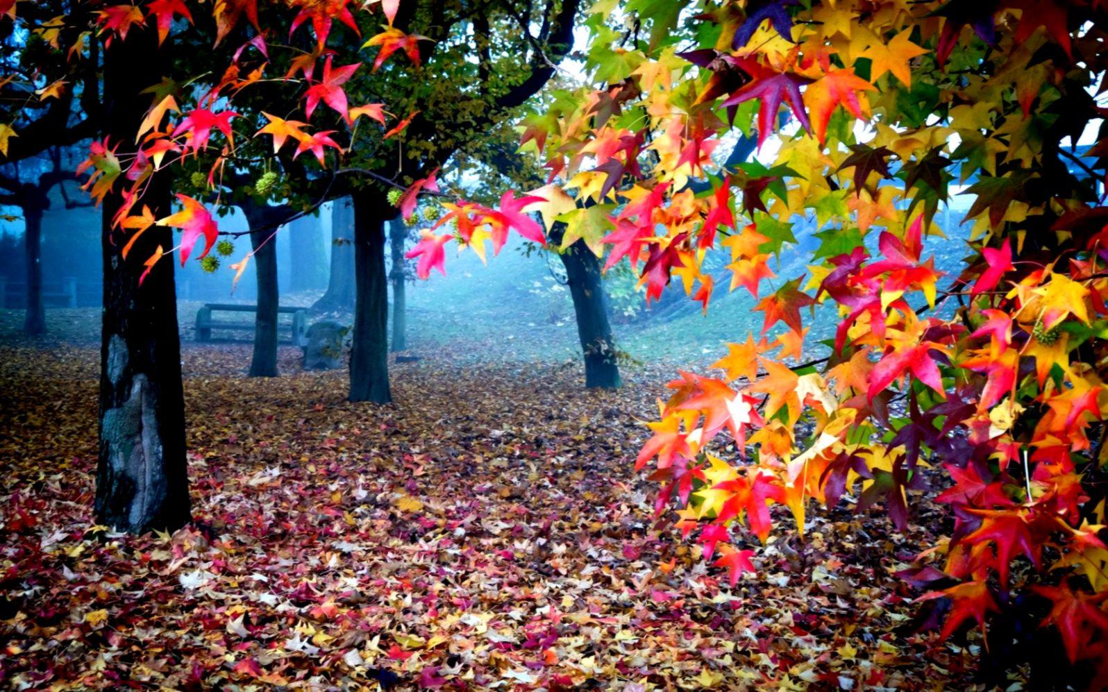 Bench Riverside Wallpapers - Wallpaper Cave