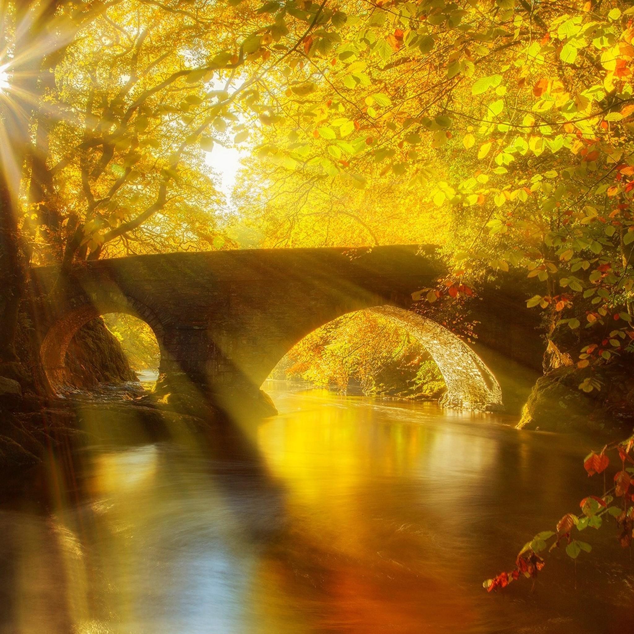 Autumn Sun Wallpapers - Wallpaper Cave