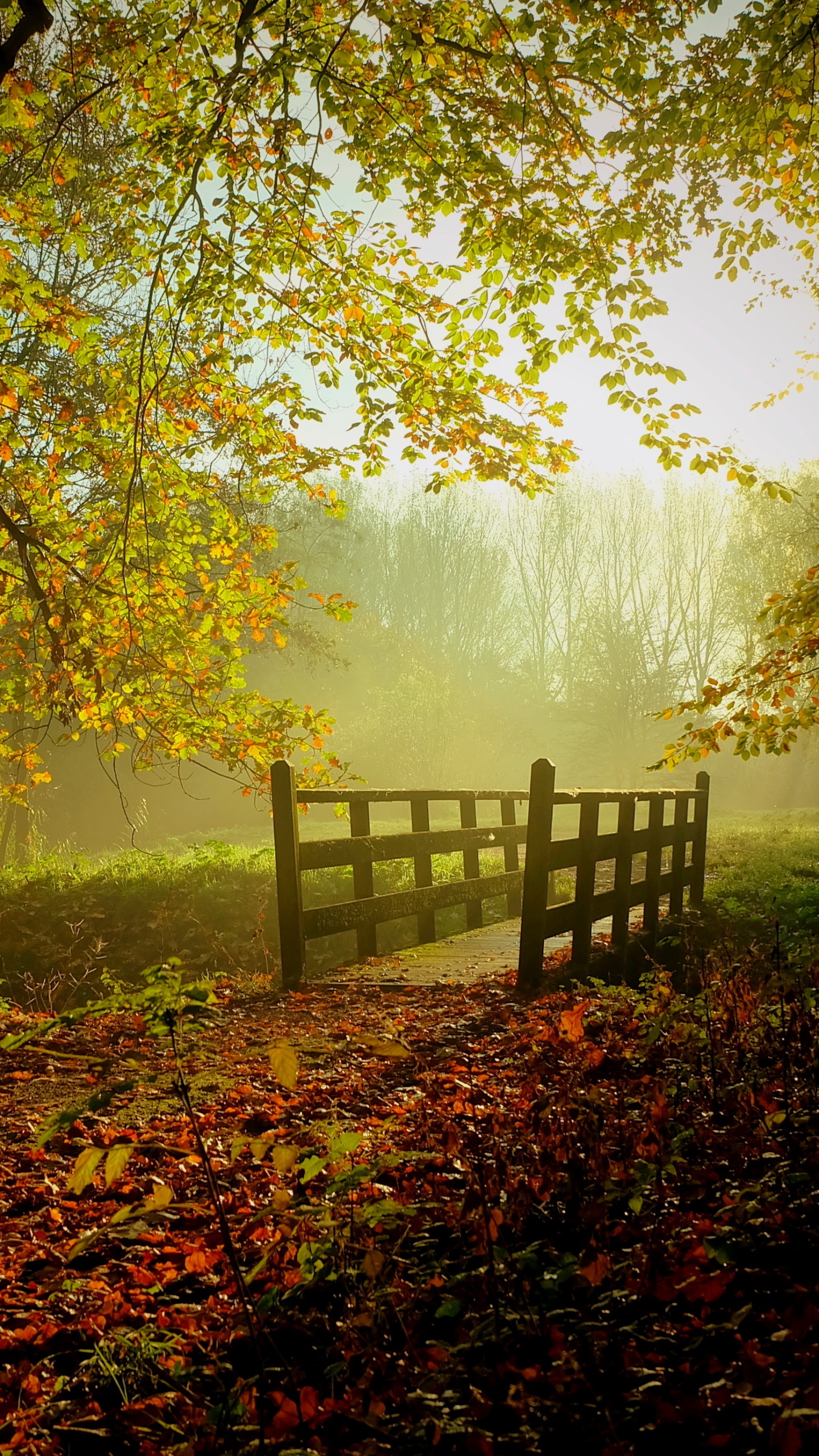 Autumn Sun Wallpapers - Wallpaper Cave