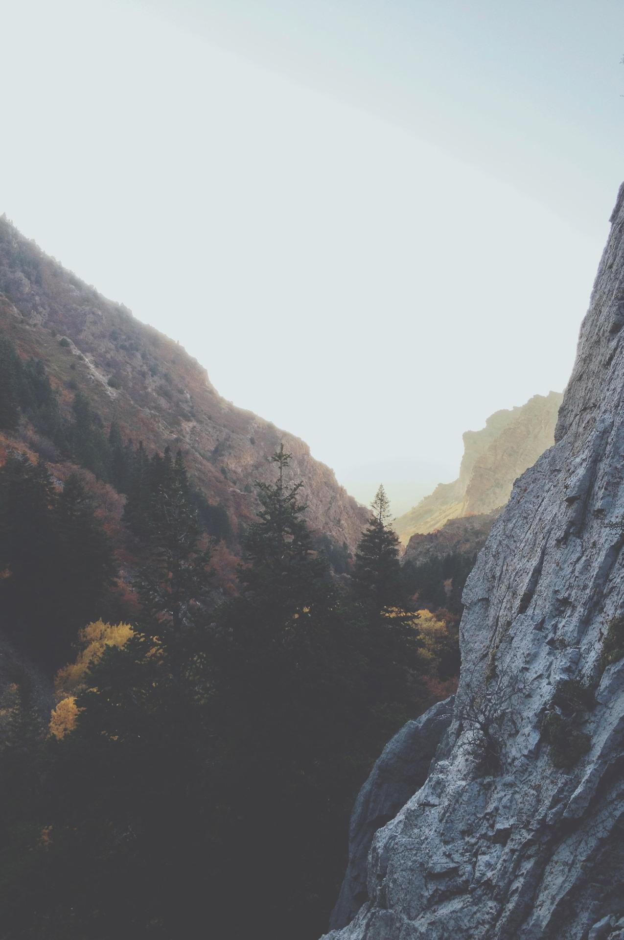 VSCO Nature Wallpapers - Wallpaper Cave