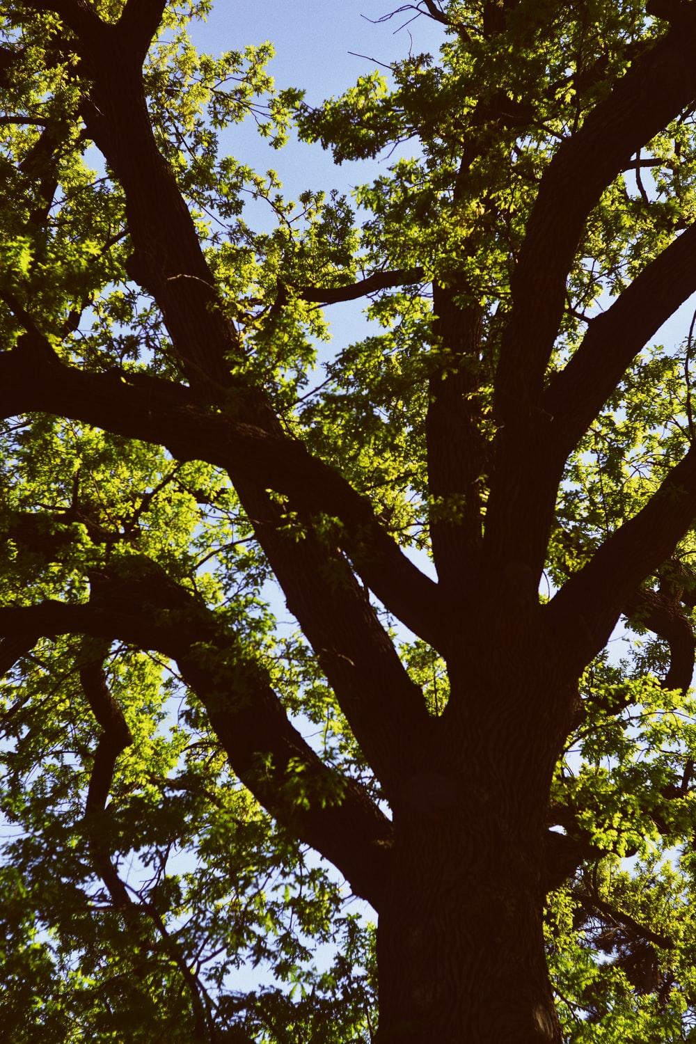 VSCO Nature Wallpapers - Wallpaper Cave