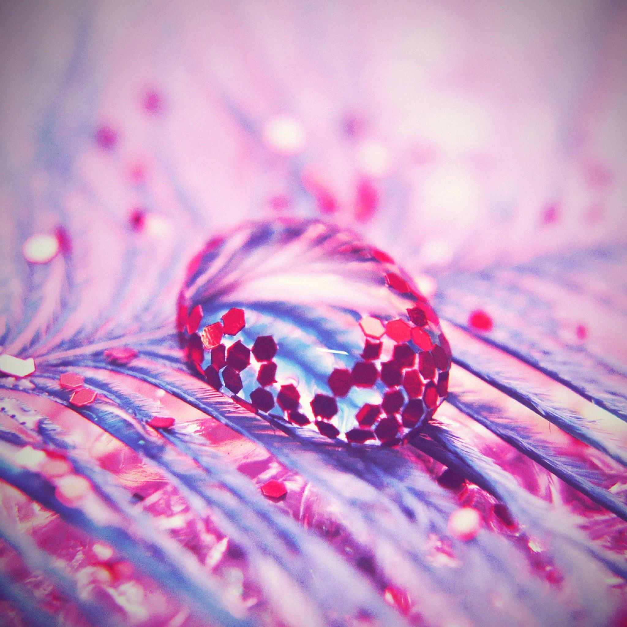 Macro Glitter Wallpapers - Wallpaper Cave