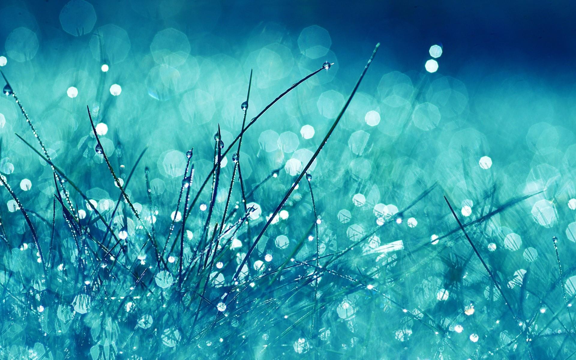 Macro Glitter Wallpapers - Wallpaper Cave
