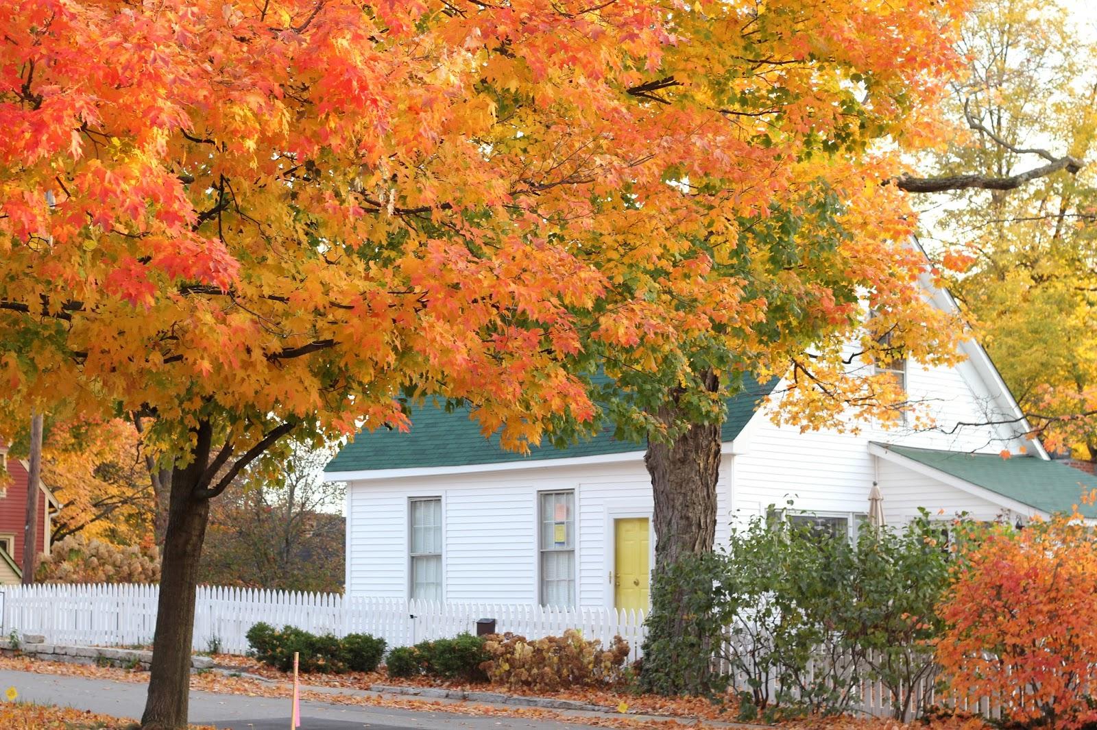 Autumn Village Wallpapers - Wallpaper Cave