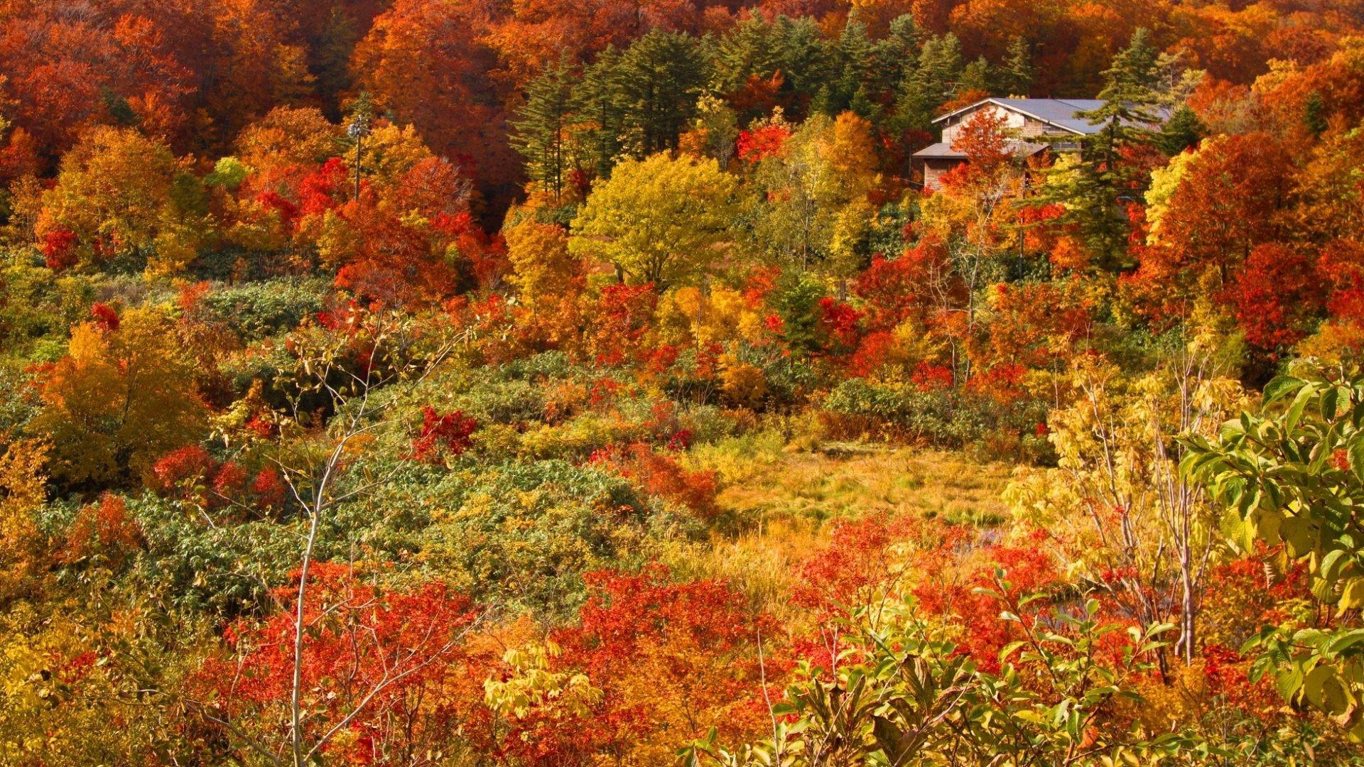 Autumn Village Wallpapers - Wallpaper Cave