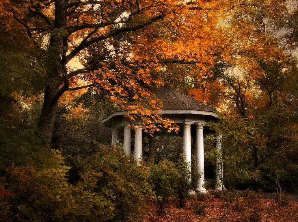 Rest Autumn Park Wallpapers - Wallpaper Cave
