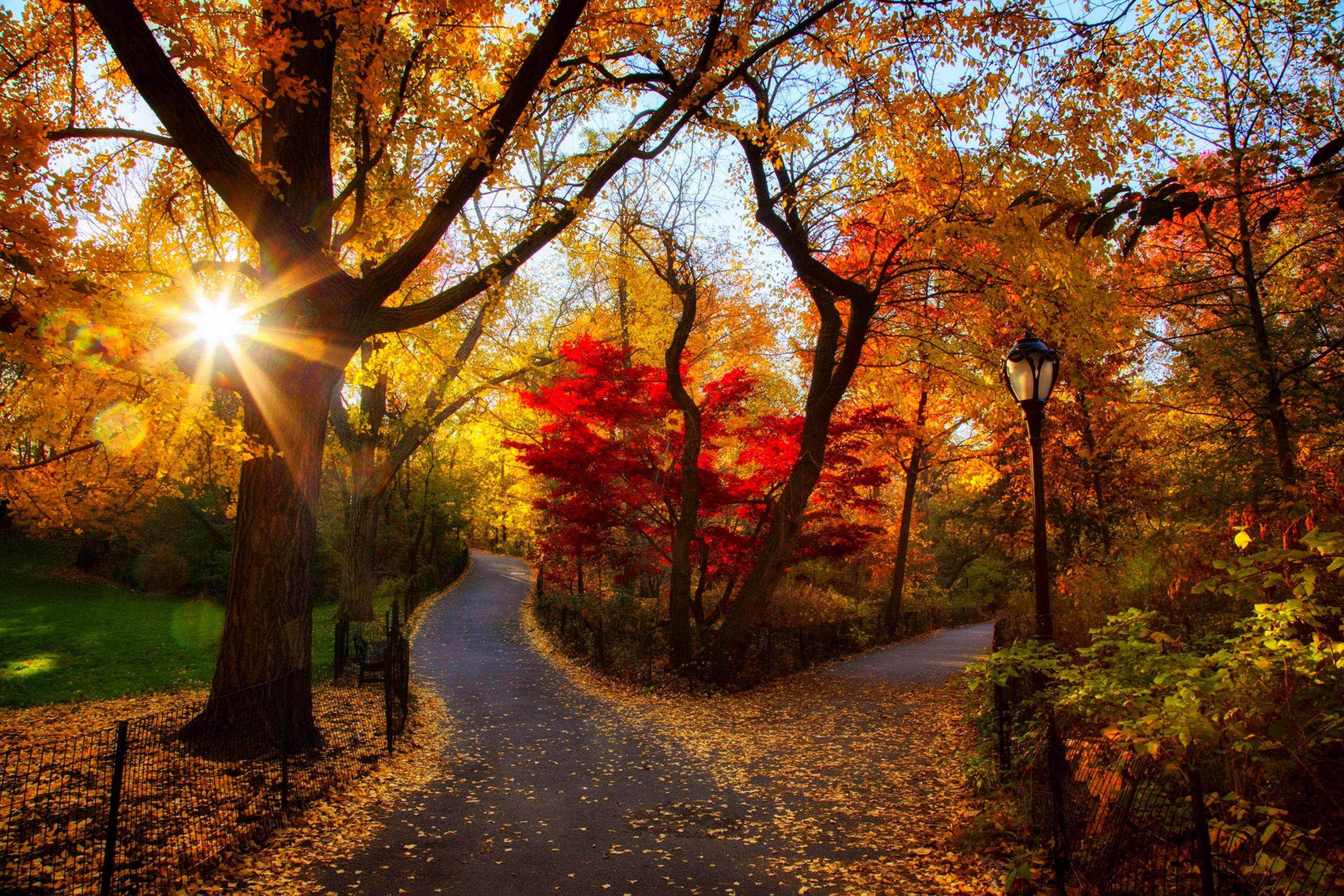 Rest Autumn Park Wallpapers - Wallpaper Cave