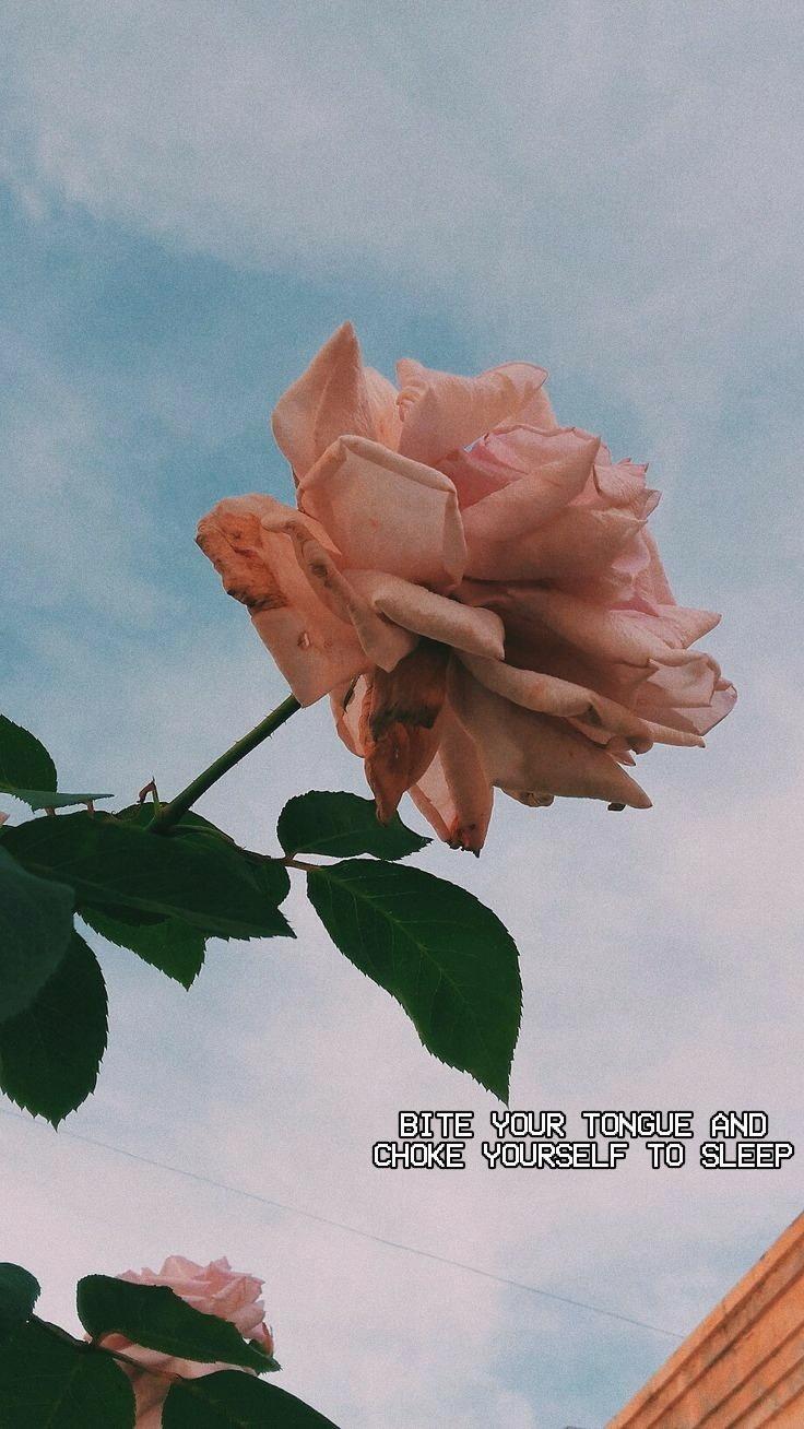 IDKHOW Wallpapers - Wallpaper Cave