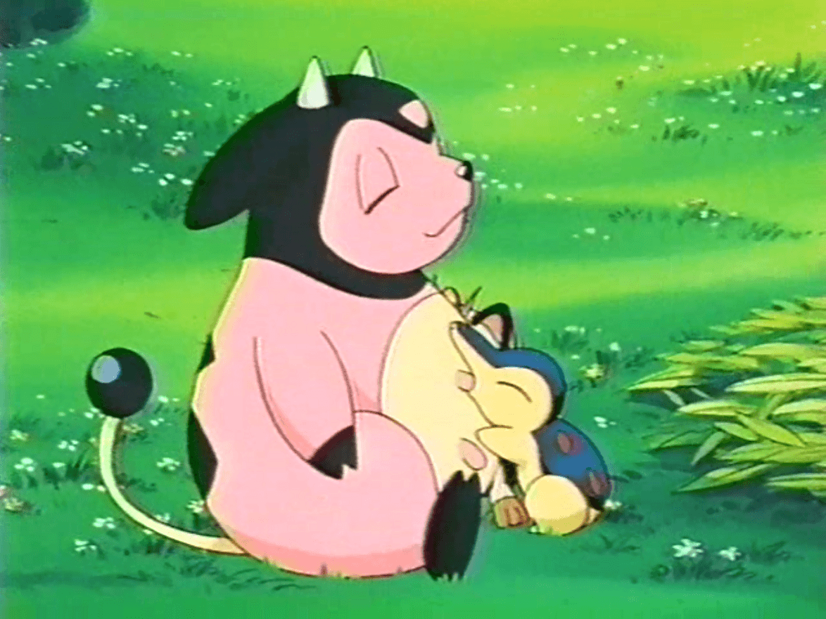 Miltank Wallpapers - Wallpaper Cave