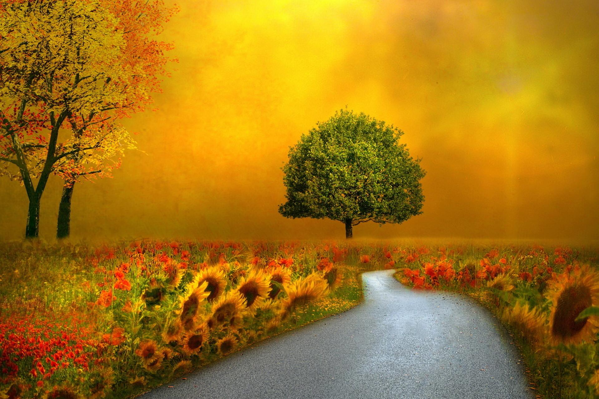 Lovely Autumn Pathway Wallpapers - Wallpaper Cave