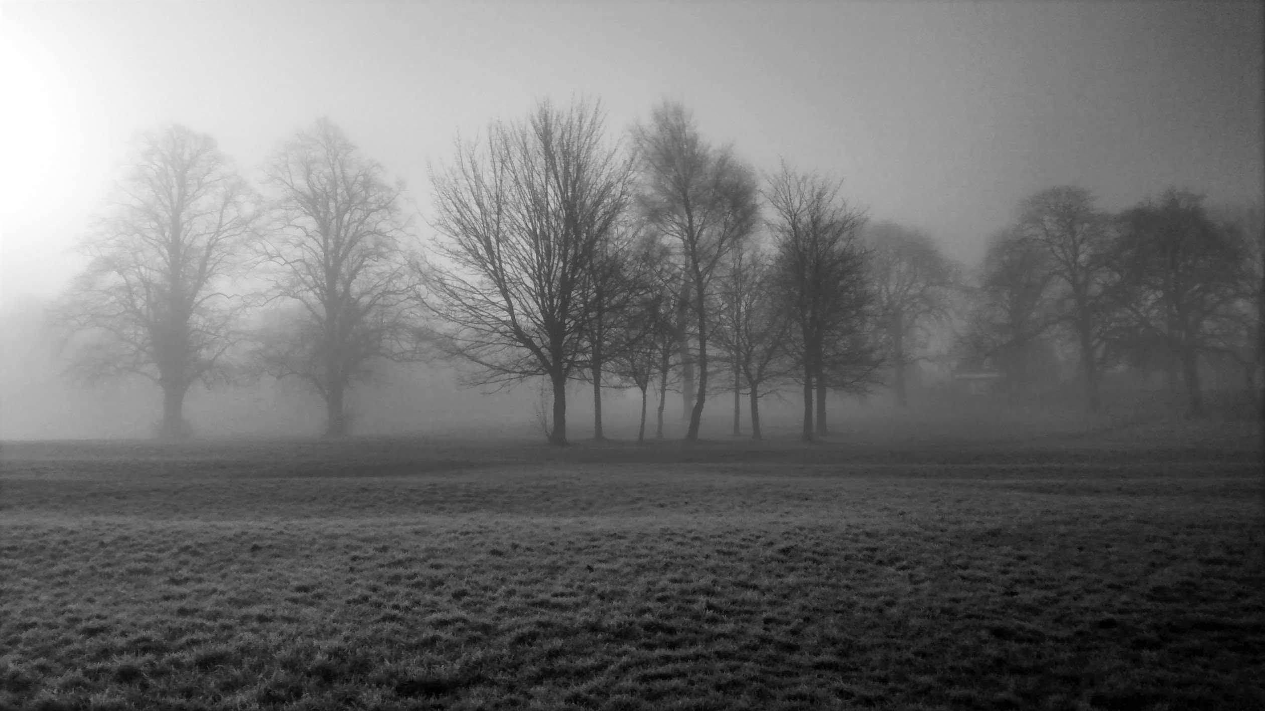 Misty Morning Wallpapers - Wallpaper Cave