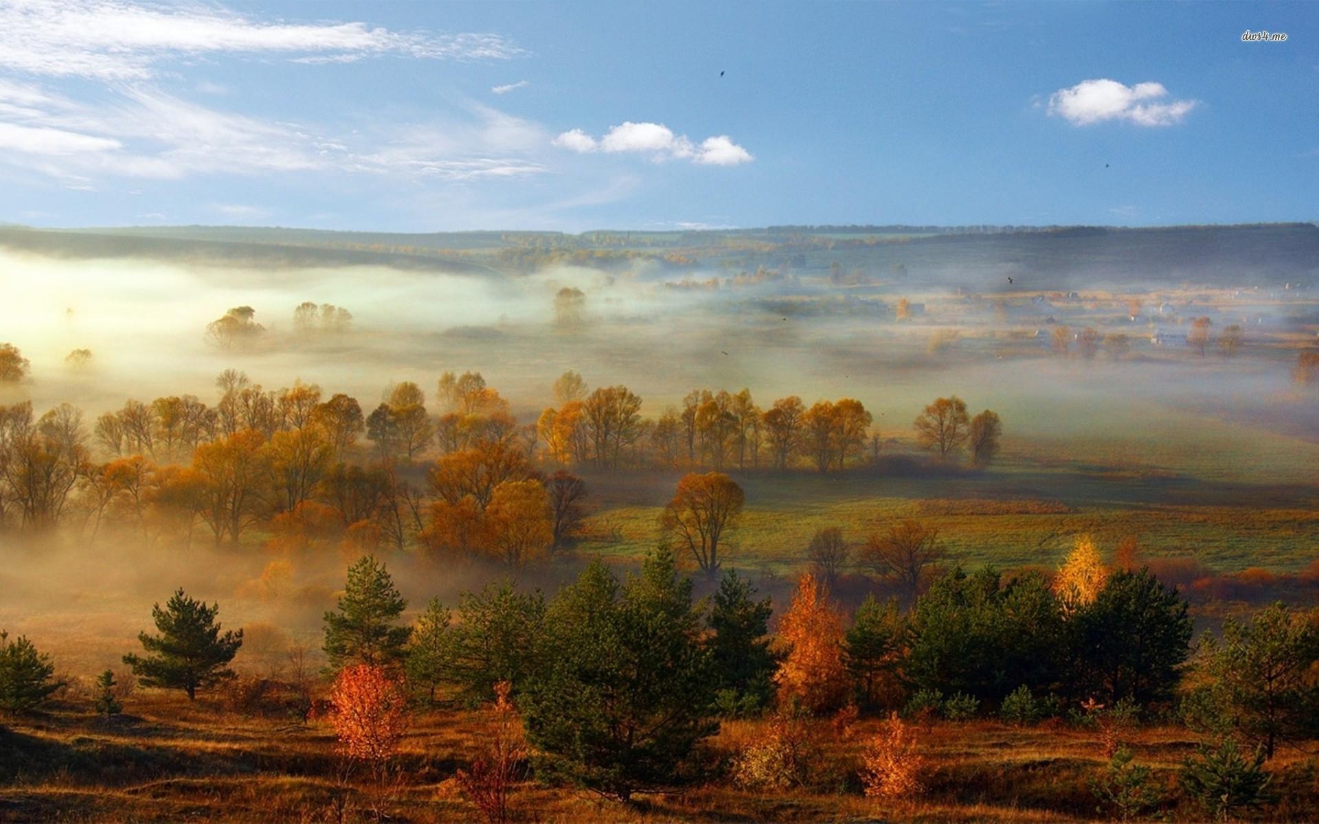 Misty Morning Wallpapers - Wallpaper Cave