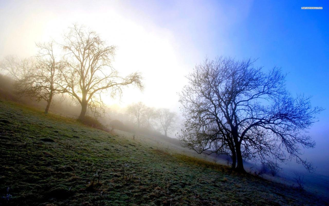 Misty Morning Wallpapers - Wallpaper Cave