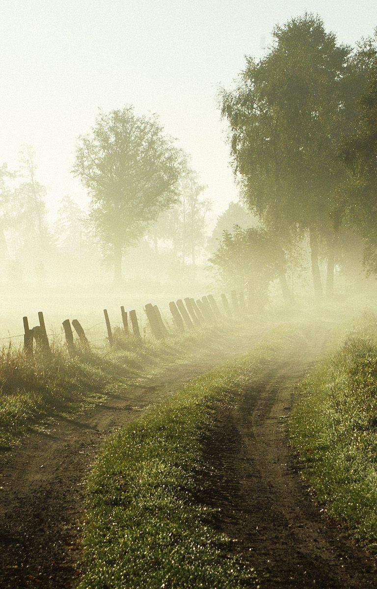 Misty Morning Wallpapers - Wallpaper Cave