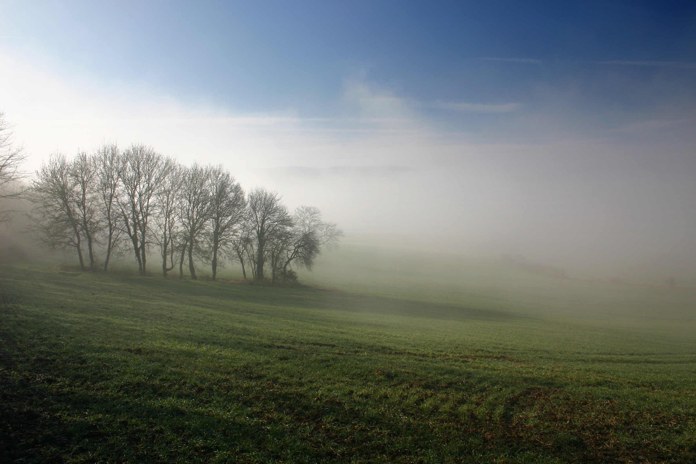 Misty Morning Wallpapers - Wallpaper Cave