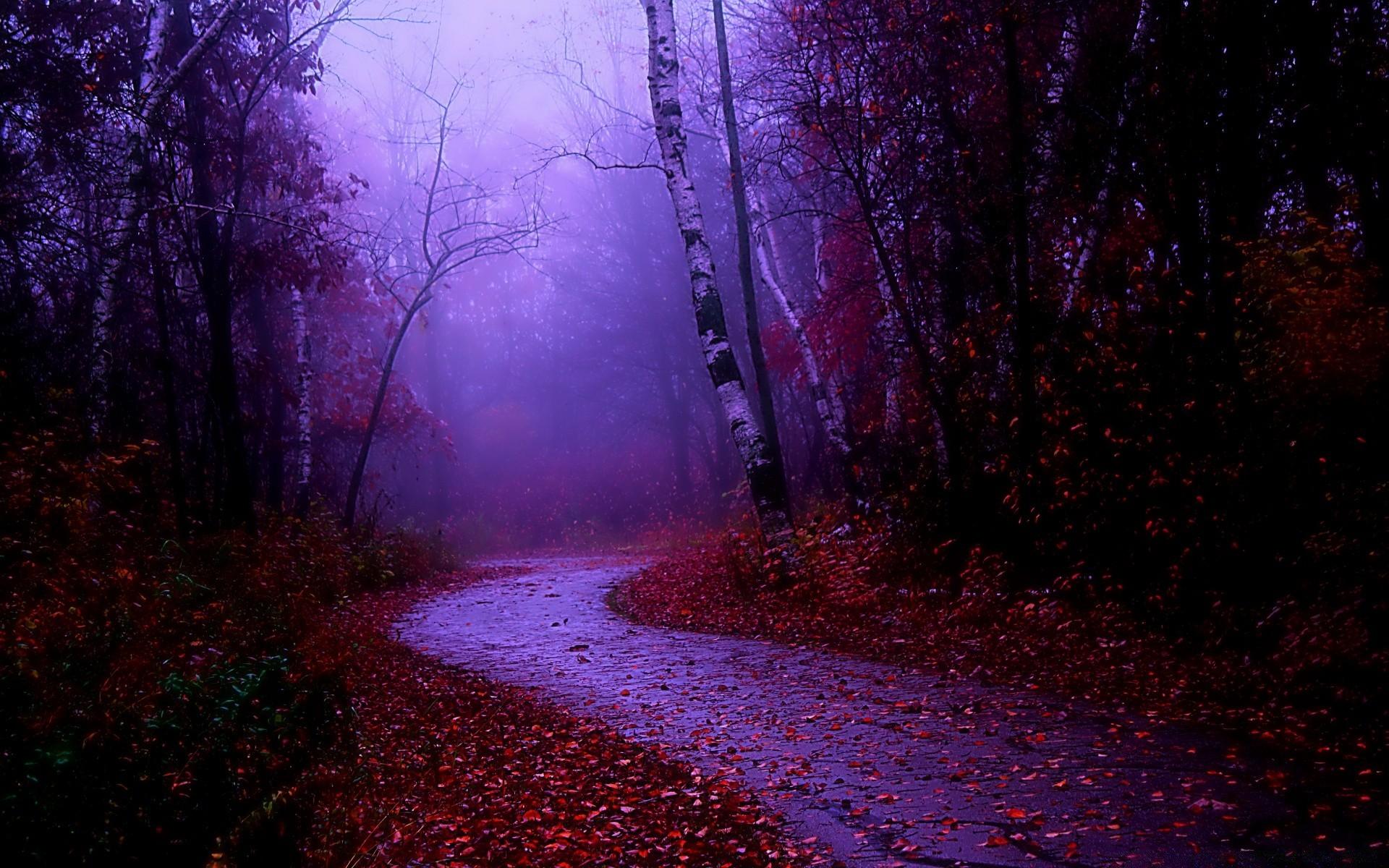 Misty Morning Wallpapers - Wallpaper Cave