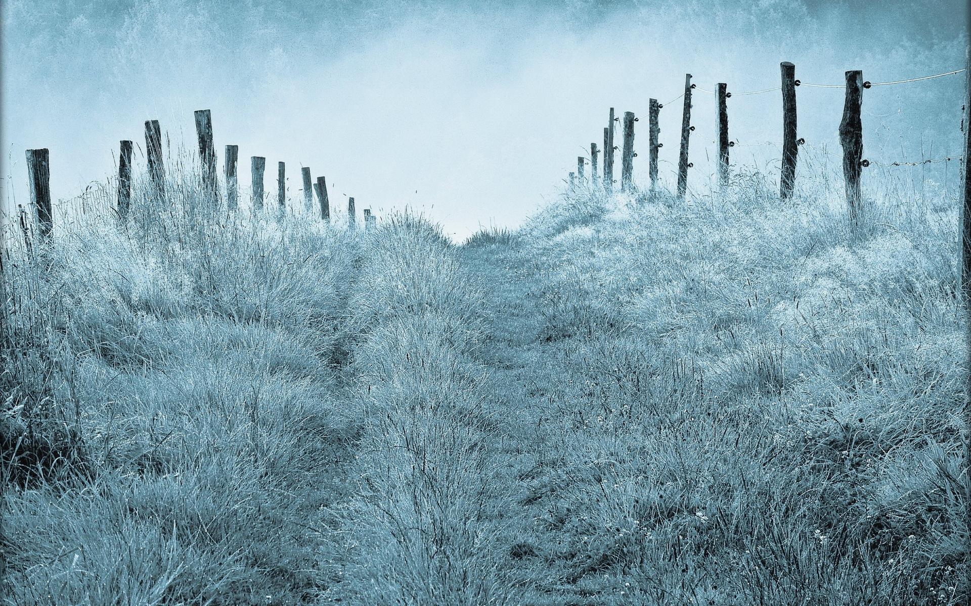 Misty Morning Wallpapers - Wallpaper Cave