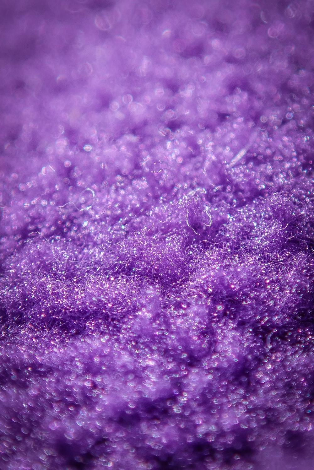 HD Lilac Wallpapers - Wallpaper Cave