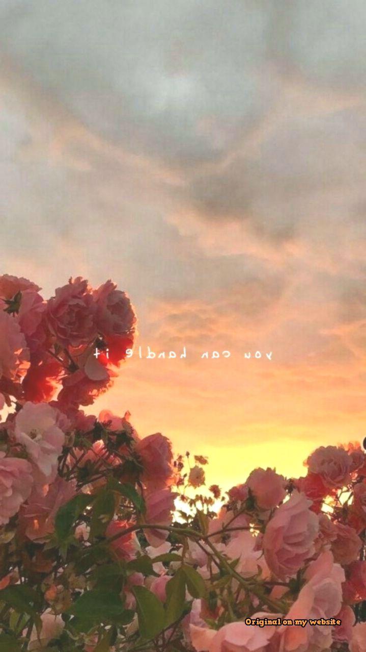 VSCO Flowers Wallpapers - Wallpaper Cave