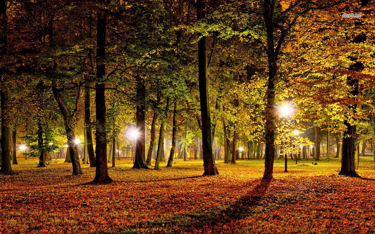 Park In Autumn Wallpapers - Wallpaper Cave