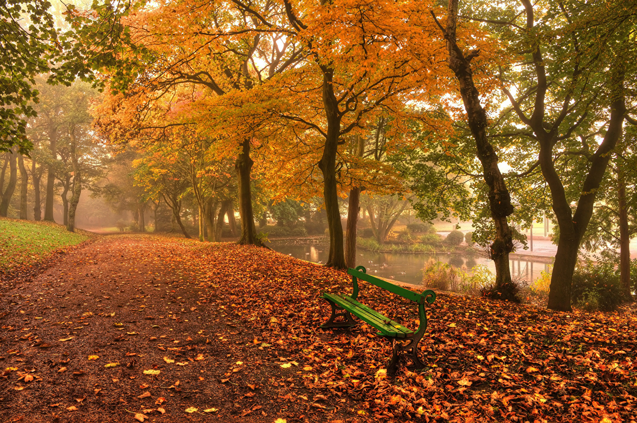Autumn Benches Wallpapers - Wallpaper Cave