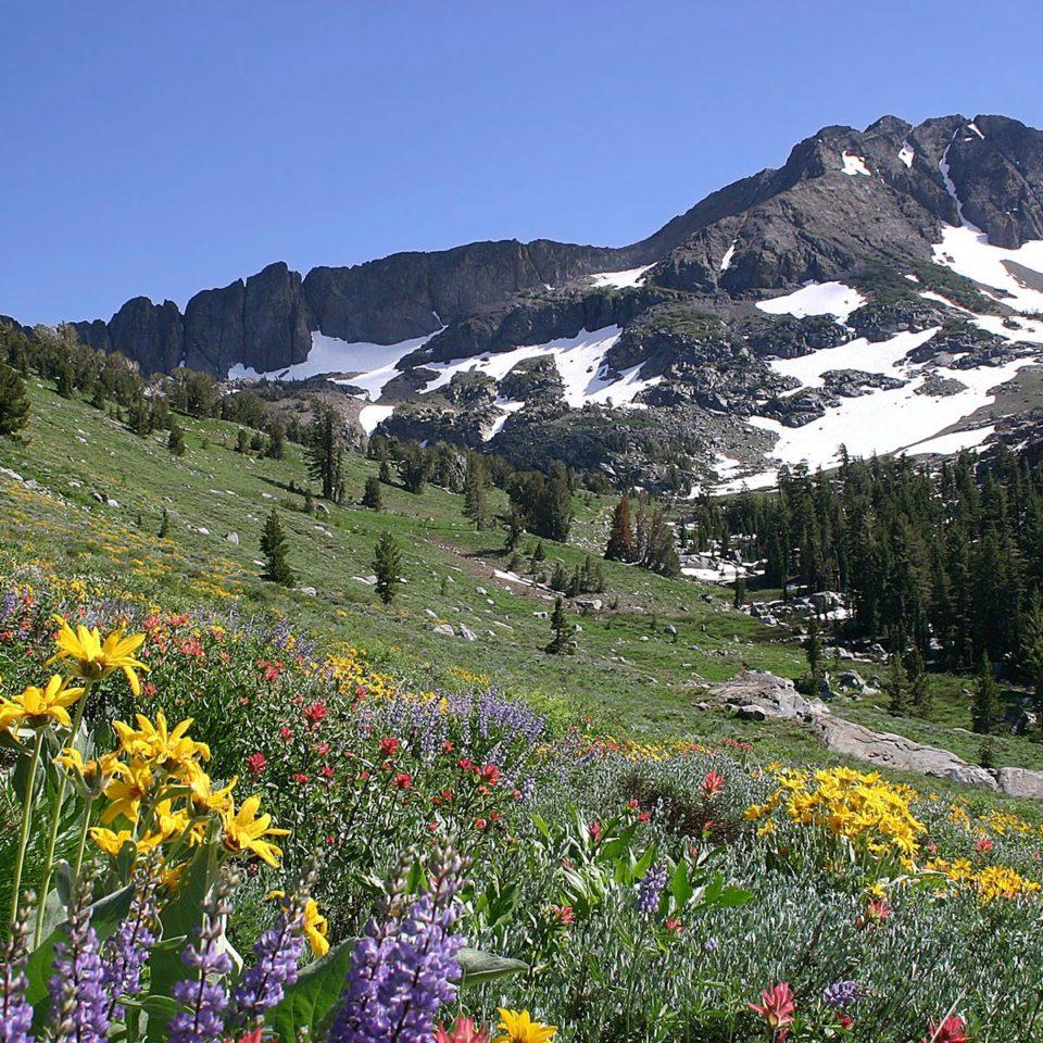 Mountains In Spring Wallpapers - Wallpaper Cave