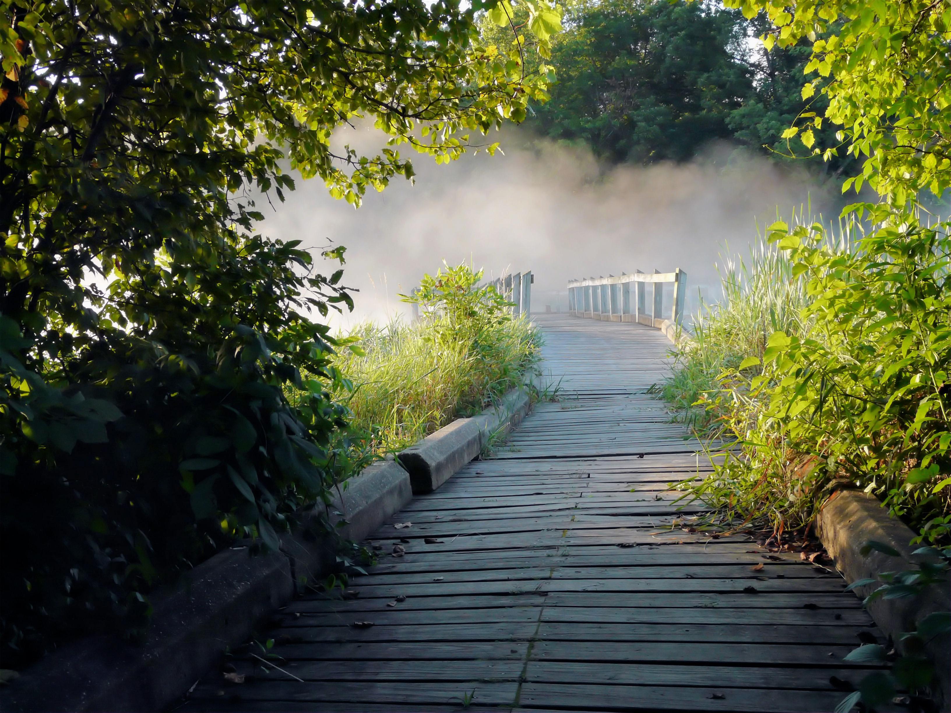 Wooden Walkway Wallpapers - Wallpaper Cave