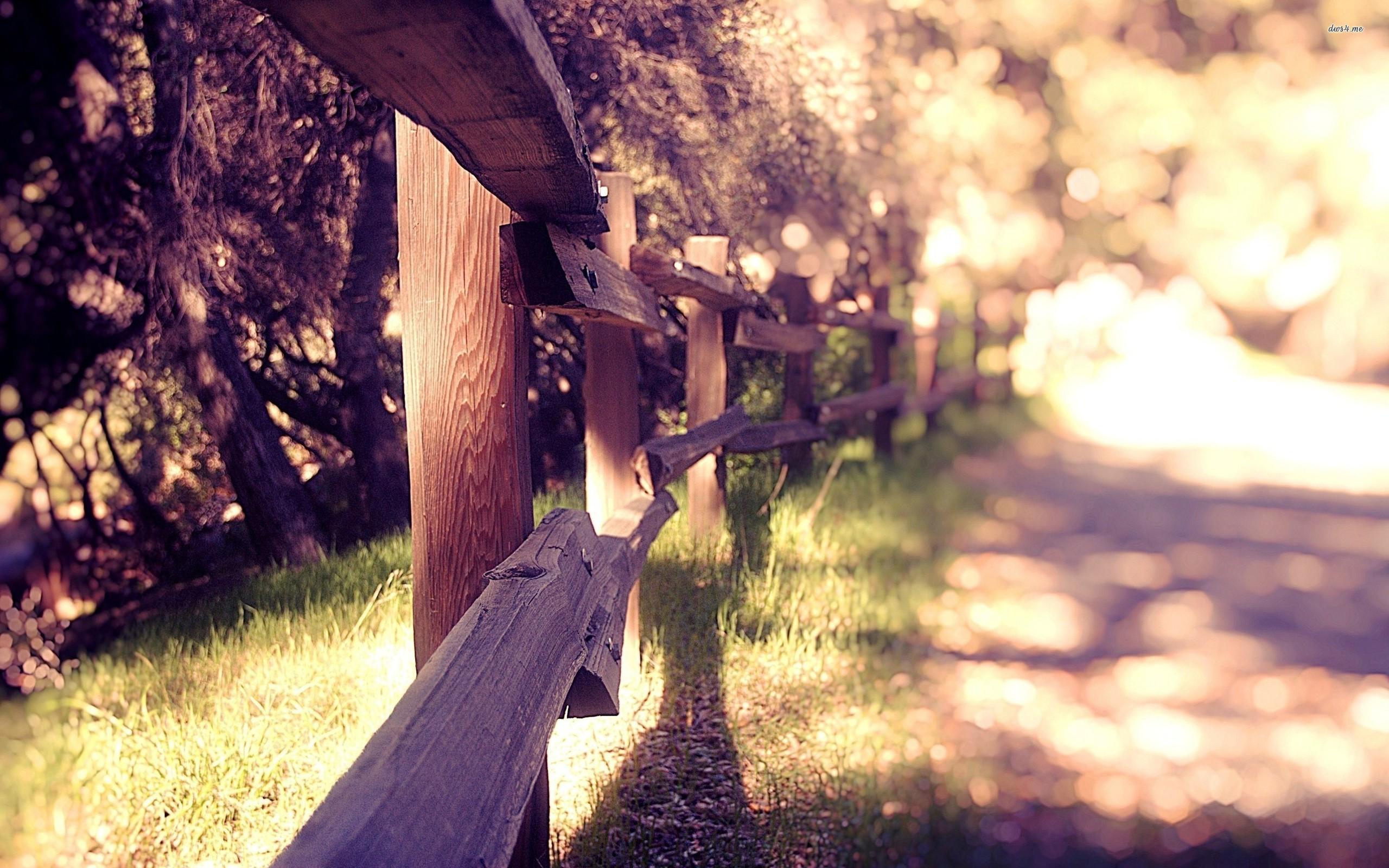 Wooden Walkway Wallpapers - Wallpaper Cave