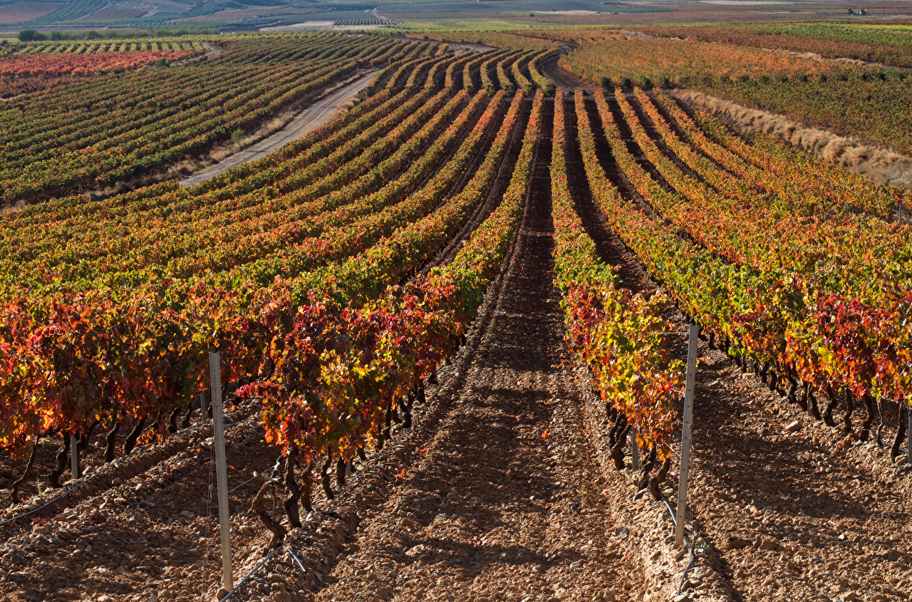 Winery Wallpapers - Wallpaper Cave