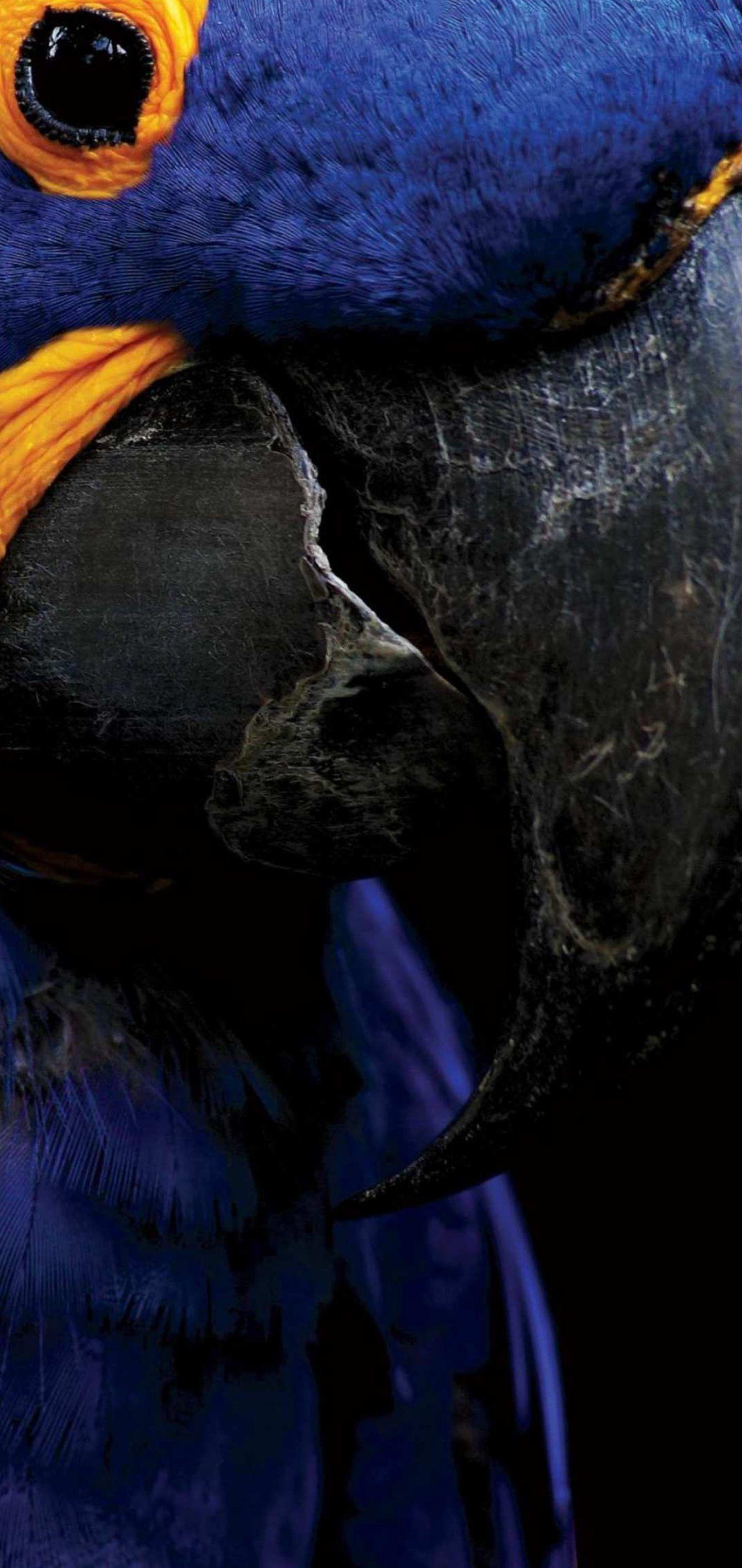 Motorola One Vision Wallpapers - Wallpaper Cave