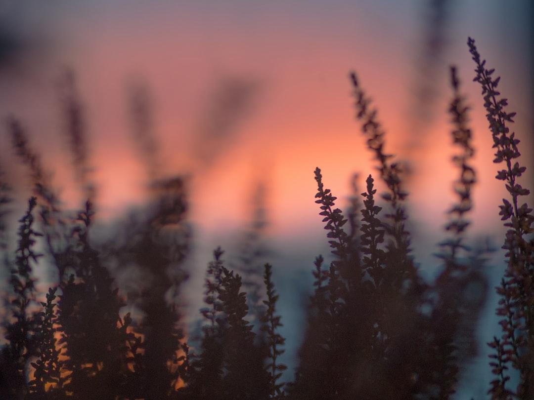 Shots Of Awe Wallpapers - Wallpaper Cave