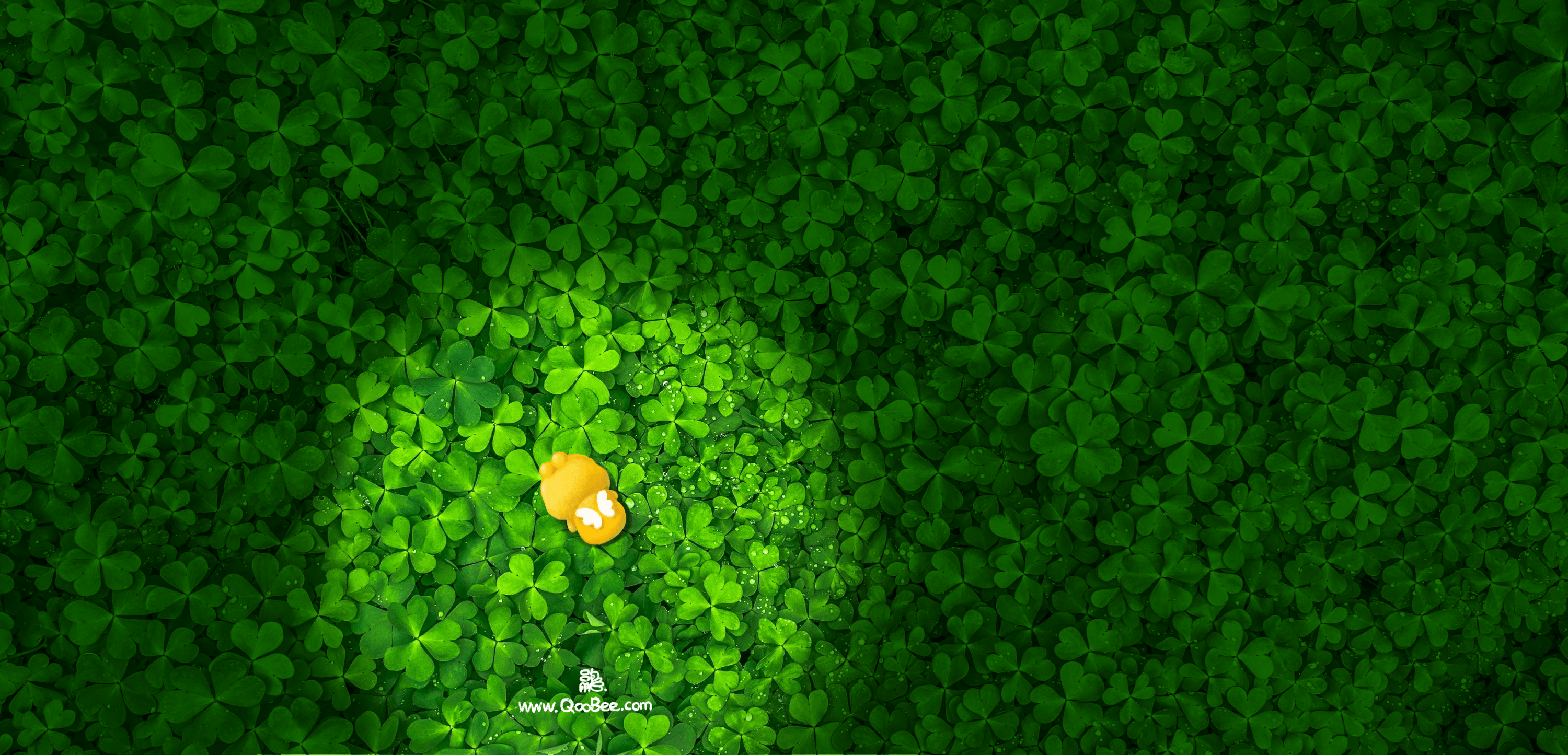 QooBee Agapi Wallpapers - Wallpaper Cave