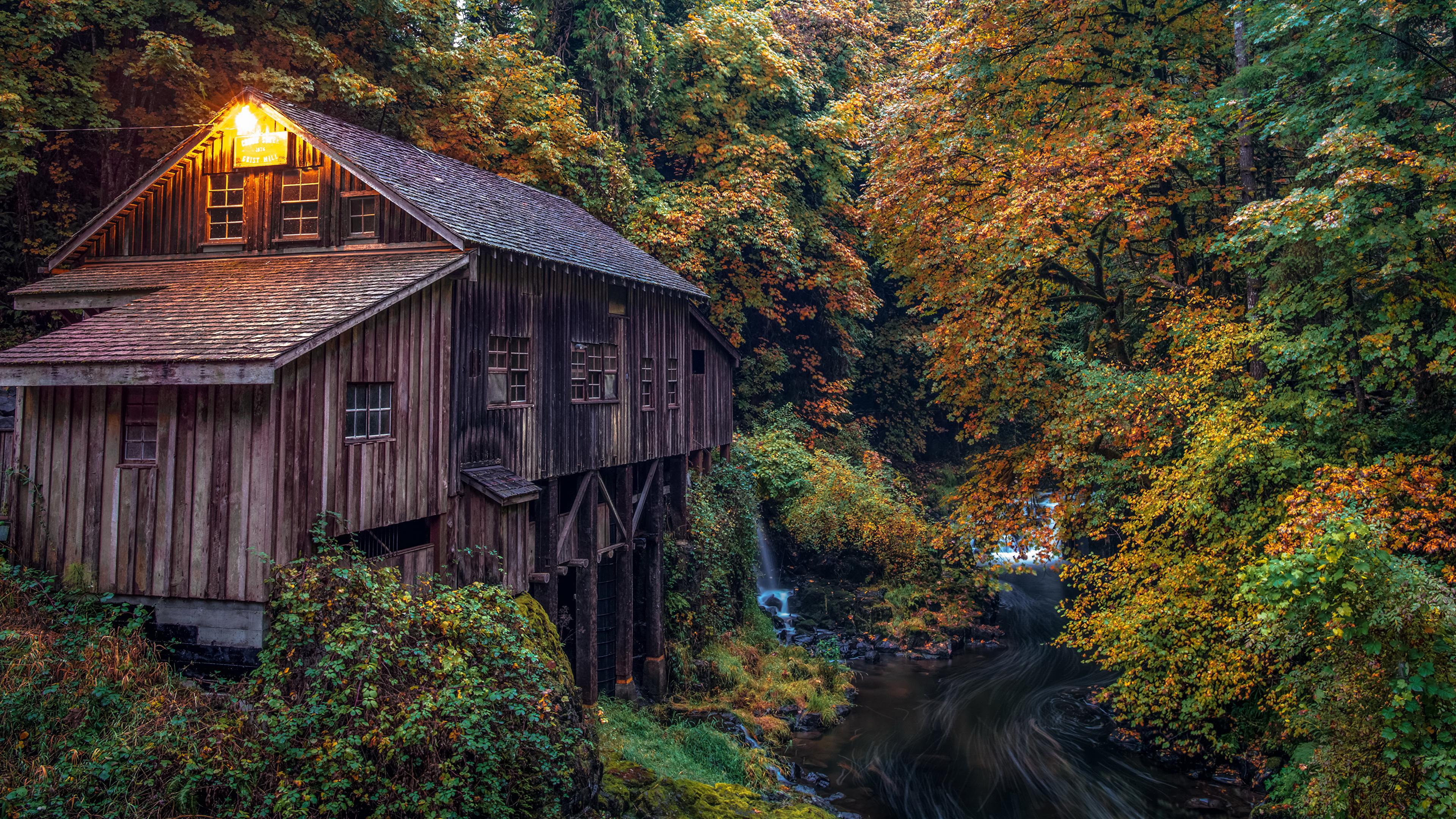 Forest Mill Wallpapers - Wallpaper Cave