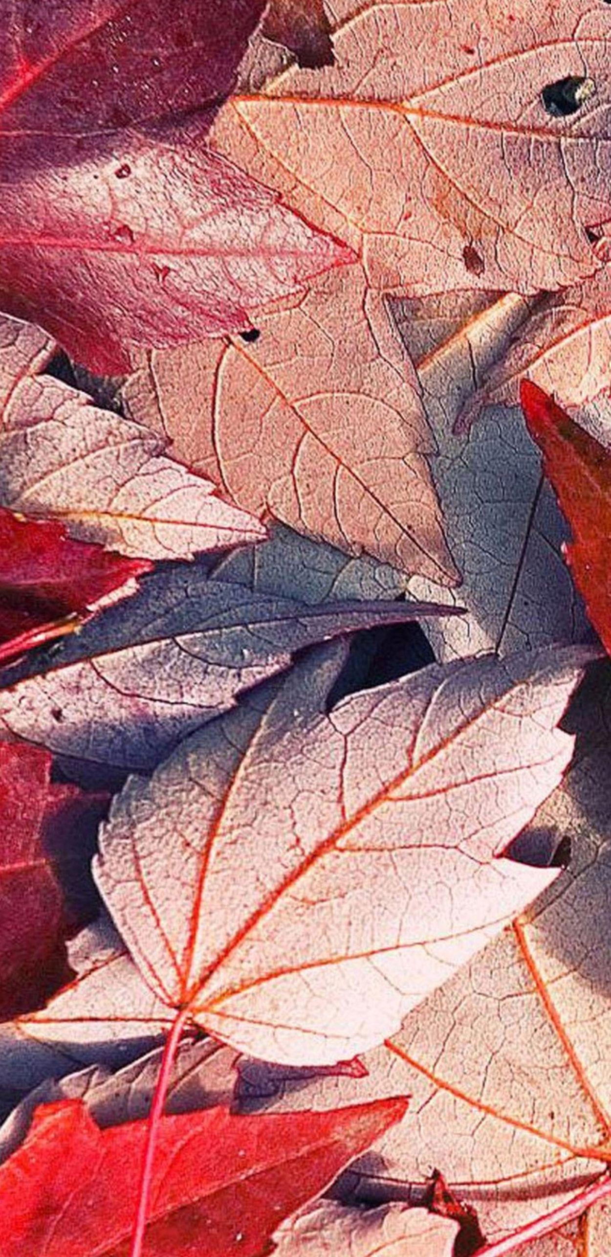 Trippy Autumn Wallpapers - Wallpaper Cave