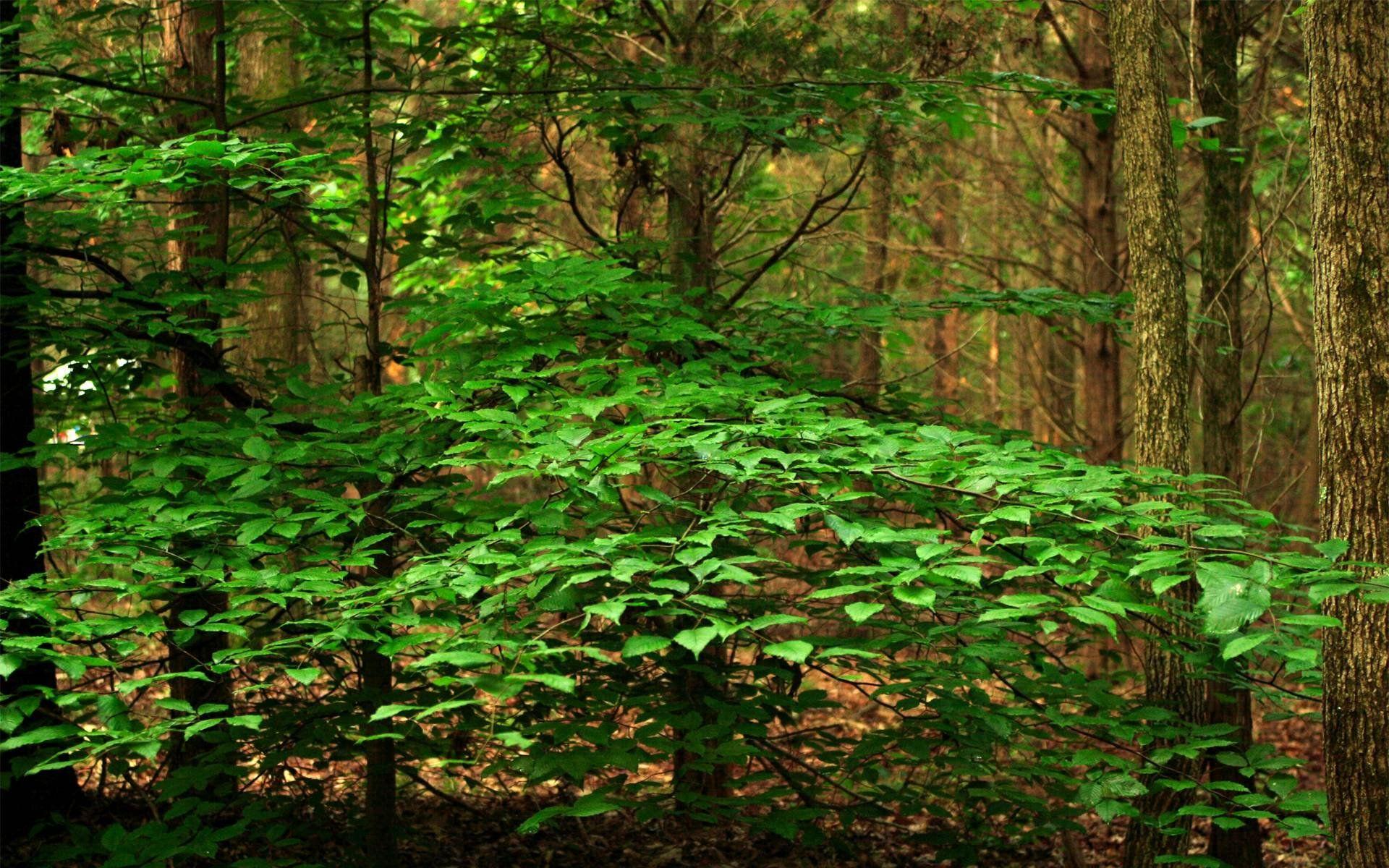 Tumblr BMP Wallpapers - Wallpaper Cave