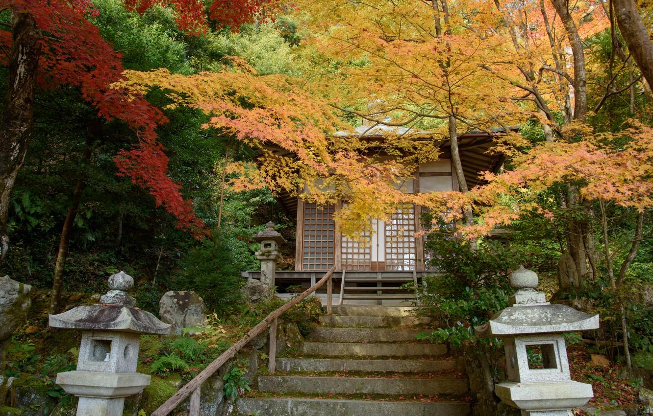 Autumn Temple Wallpapers - Wallpaper Cave