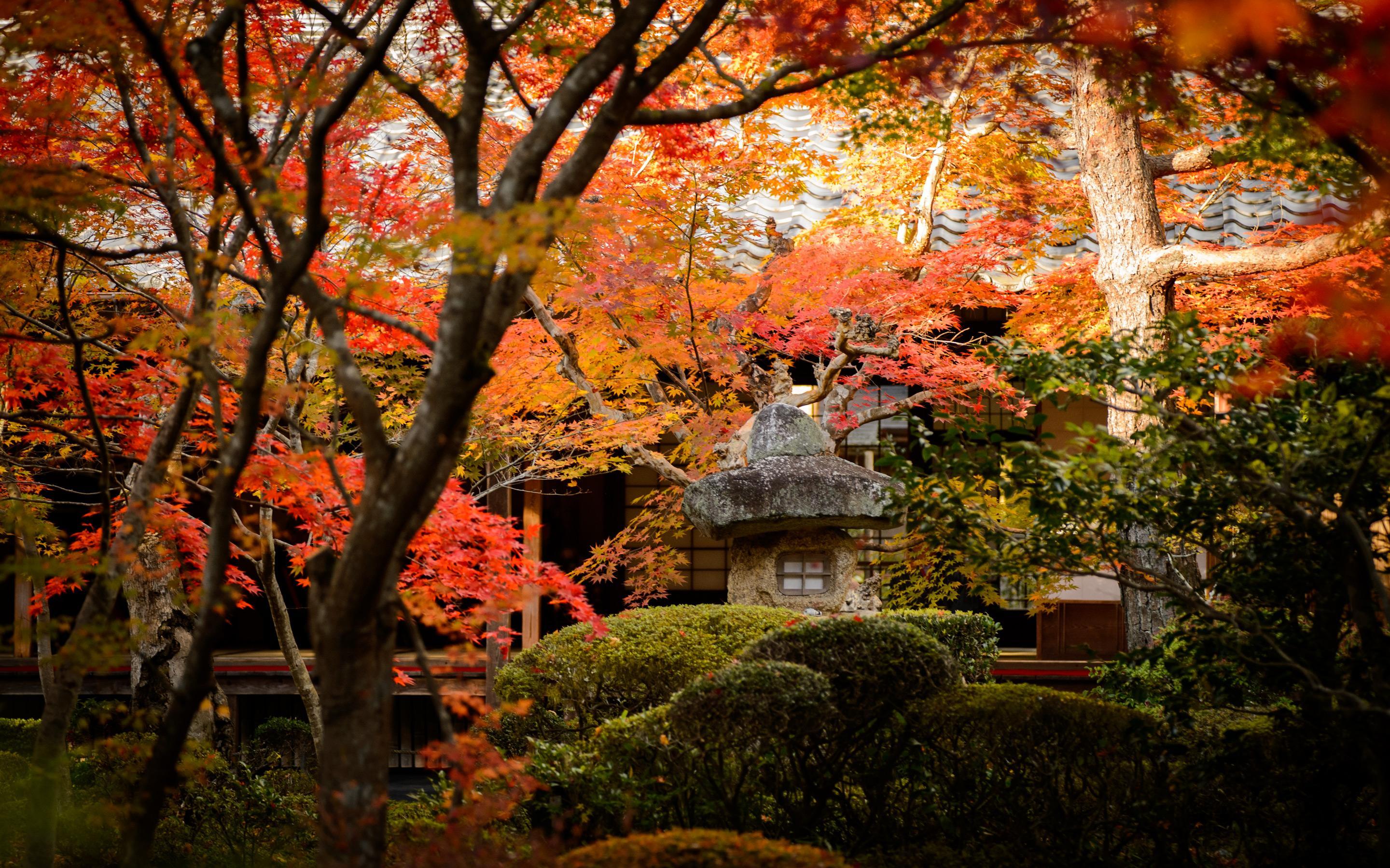 Autumn Temple Wallpapers - Wallpaper Cave