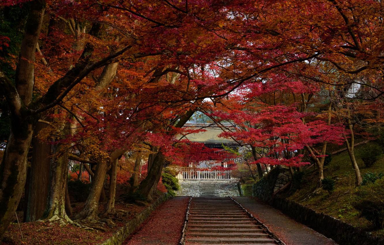 Autumn Temple Wallpapers - Wallpaper Cave