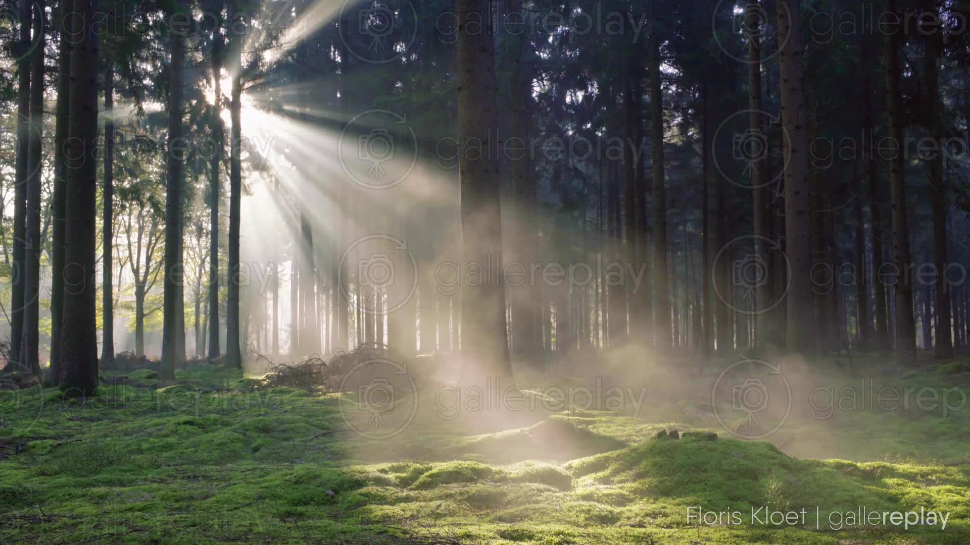 Misty Morning Sunrays Wallpapers - Wallpaper Cave