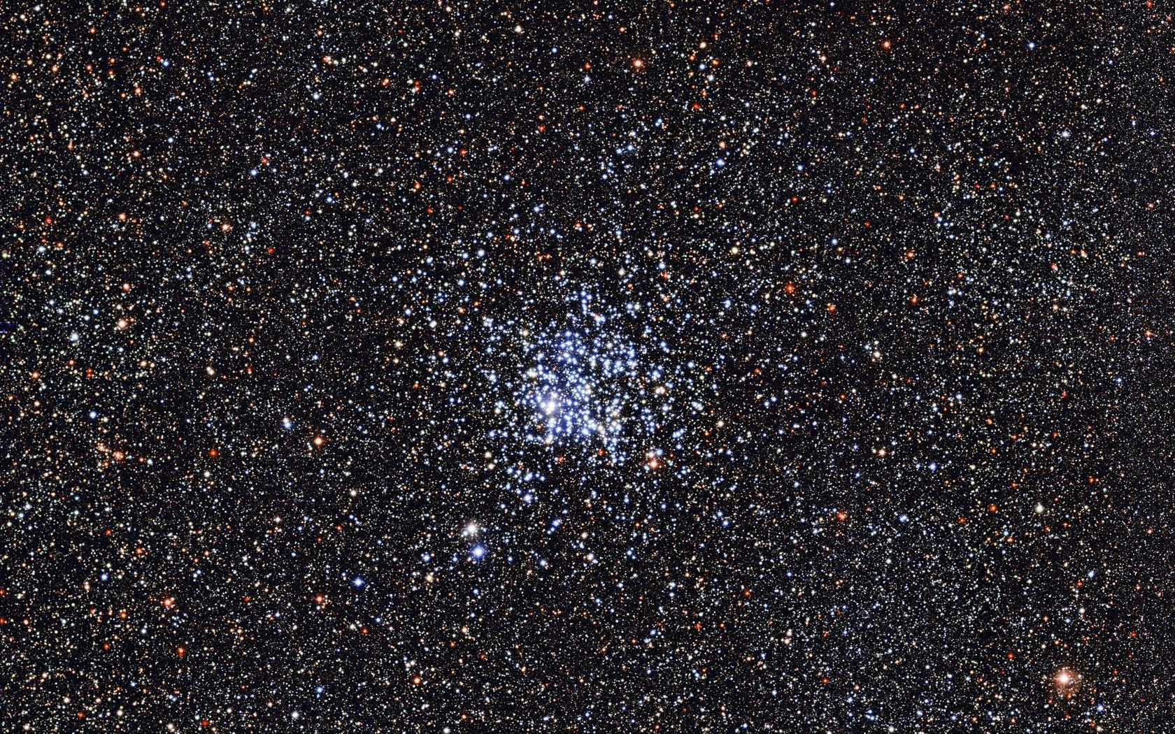 Duck Space Wallpapers - Wallpaper Cave